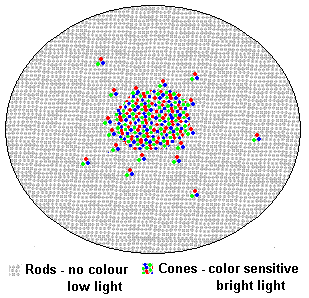 Index of /clinic/psych/